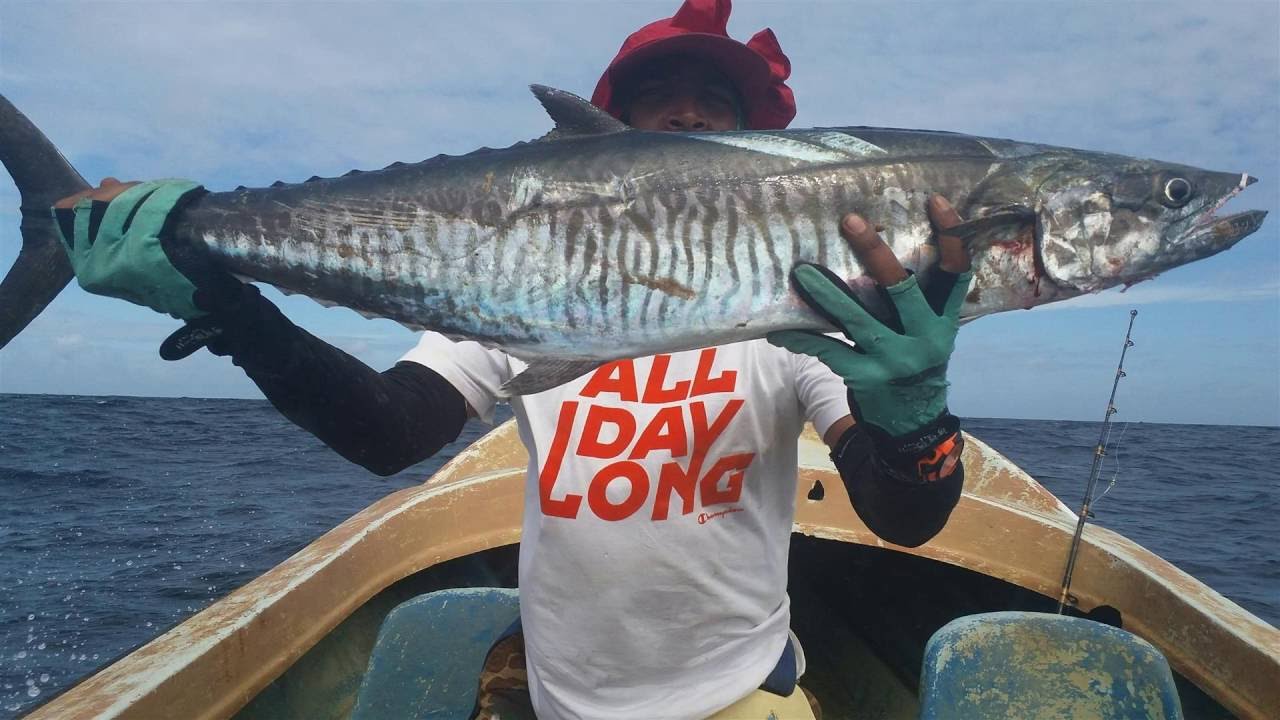 Fishing in Sri Lanka (Landing a 8.1 Kg Narrow Barred Mackerel on 18th ...