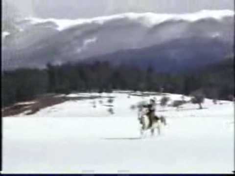 Dinle EVLAT sana bir cift sozum var?