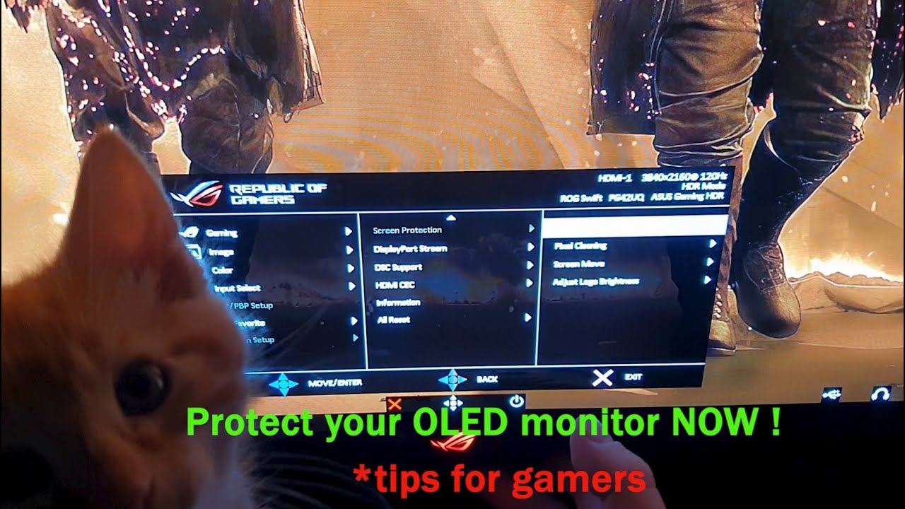Best Settings for OLED PG42UQ - Gamers MUST DO THIS to avoid pixel burn ...
