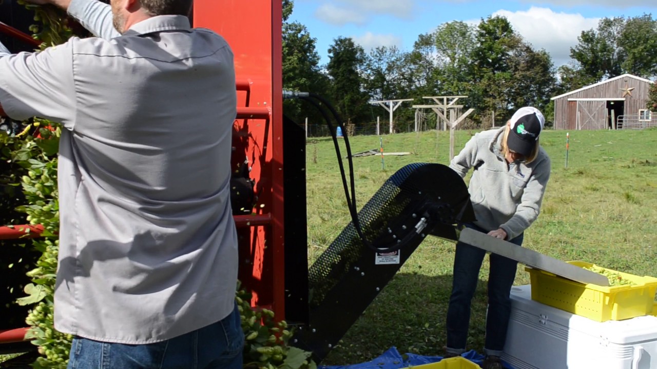 Hopster® 5P harvesting young plants - YouTube