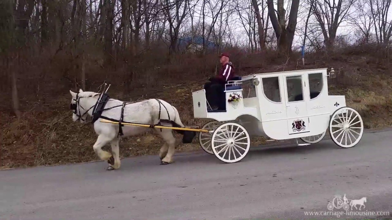 Giving the BRAND NEW Royal Coach a final test run! Royal Coach 1 - YouTube