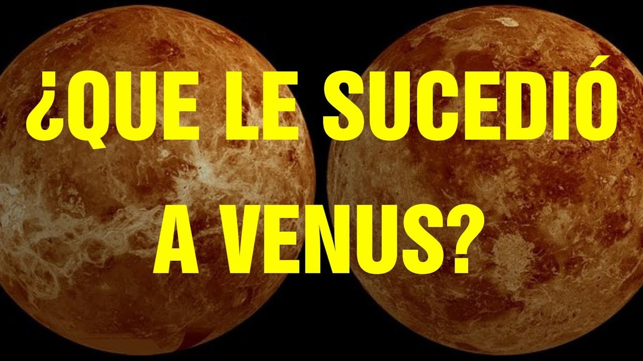 Vida En Venus | Vida | Venus | Que Ocurrió en Venus | Atmosfera - YouTube