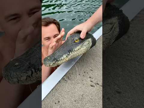 She’ll never go fishing again!🐊