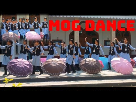 “Electrifying Mog Dance Performance | Pure Energy & Tradition!” - YouTube