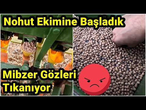 Nohut Ekimine Başladık 🚜 | Mibzer Gözenekleri Tıkanıyor 😡 | Yeter ulan Yeter | Tarla
