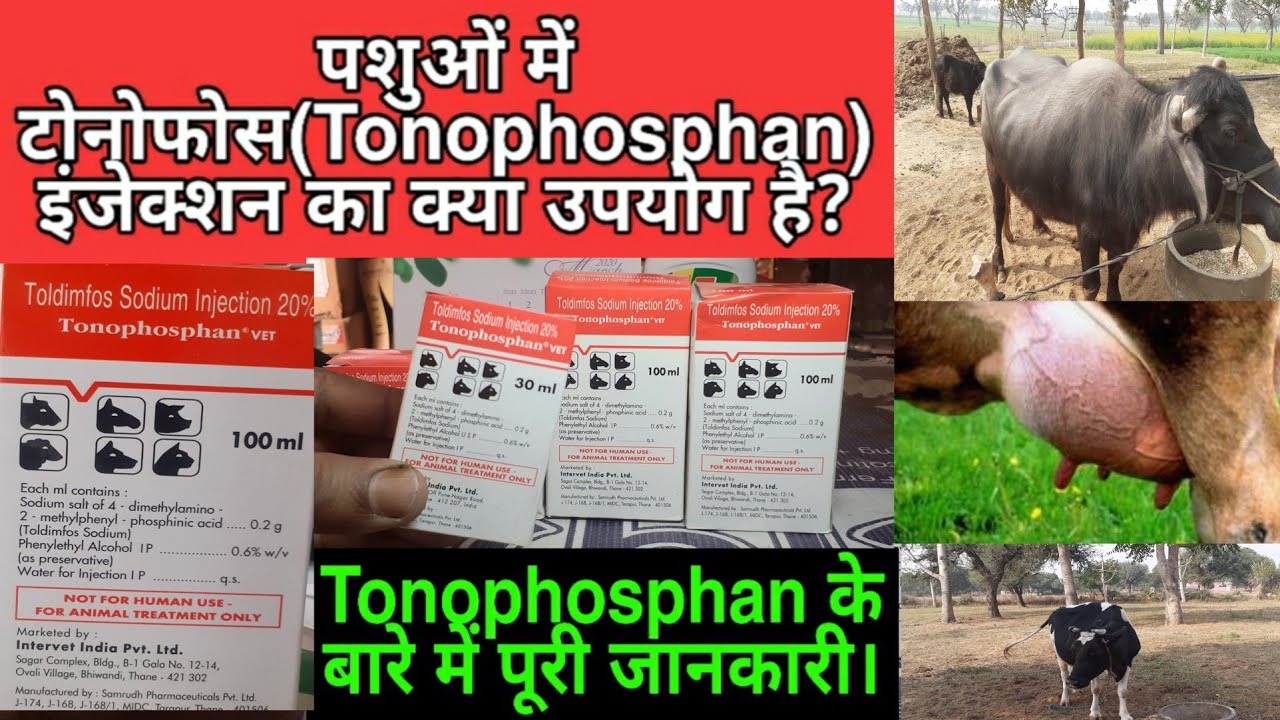 टोनोफोस (Tonophosphan)इंजेक्शन पशुओं में किन -किन रोगों में उपयोग में ...