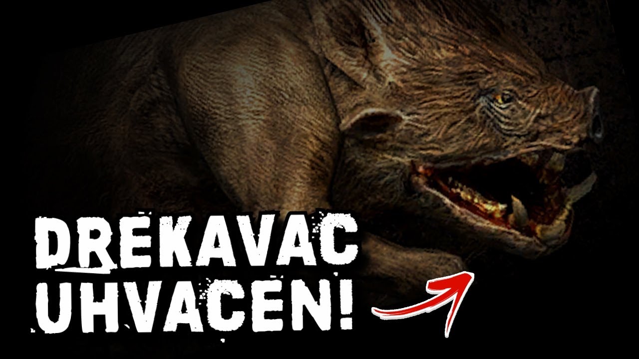 DREKAVAC JE PRONADJEN I SNIMLJEN NA NOVOJ LOKACIJI!!! - YouTube