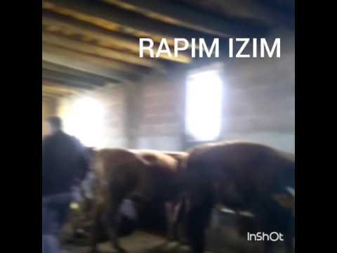 ARTOVA AHMET DANİŞMENT KÖYÜ