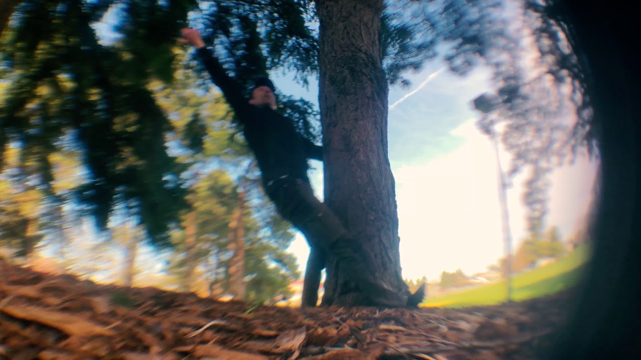 Treehugging Natural Energy Stretch - YouTube