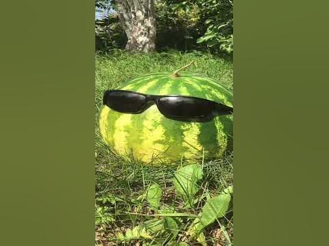 ДИДЖЕЙ АРБУЗ - YouTube