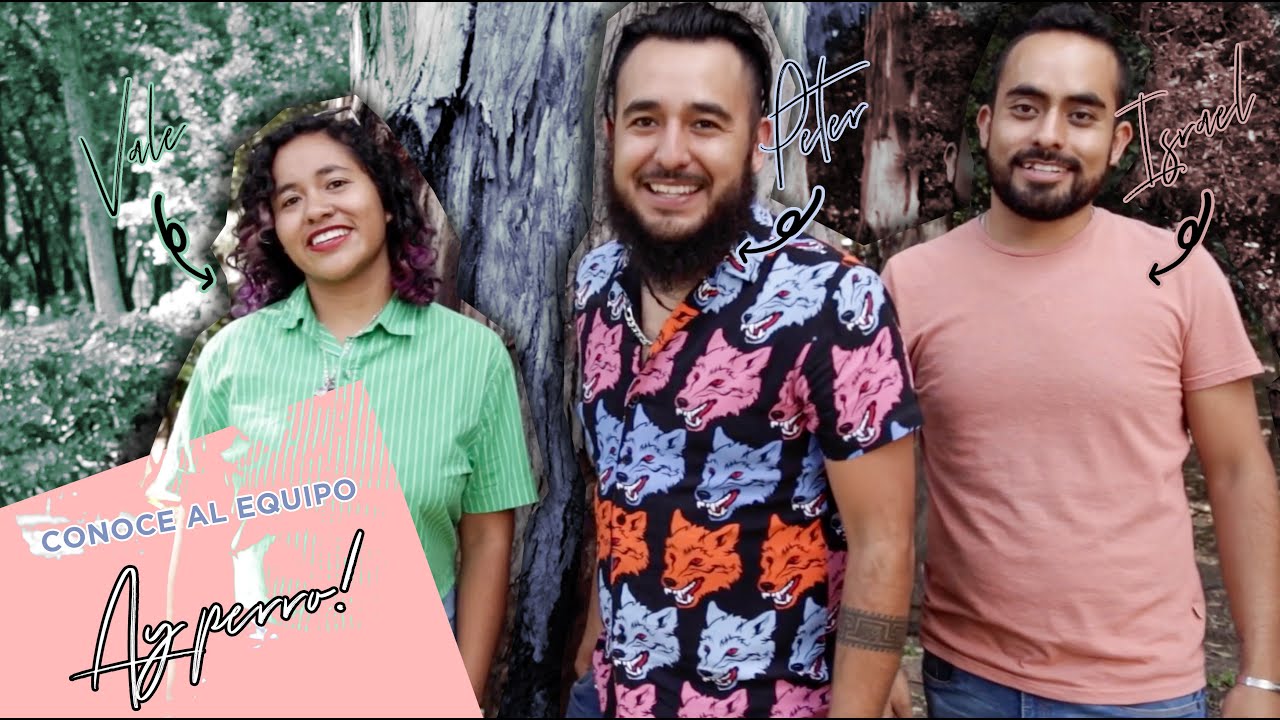 ¡Conoce al equipo de "Ay Perro"! - YouTube