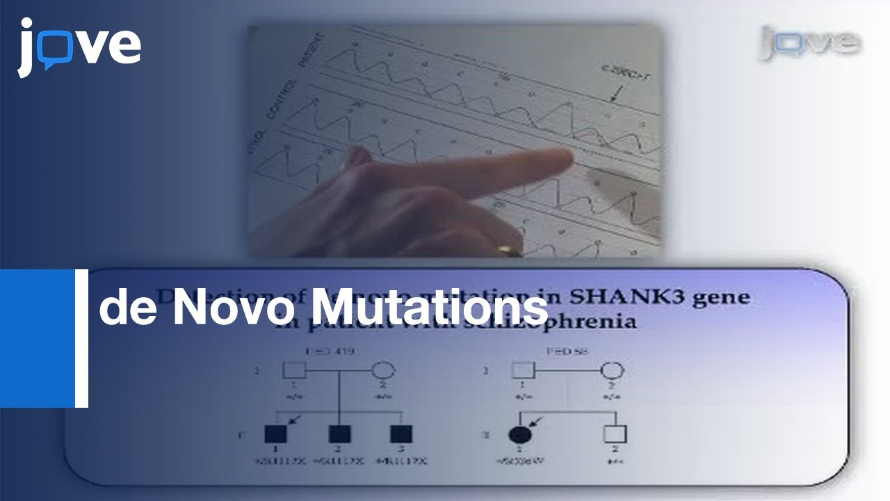 Strategy To Identify de Novo Mutations In Autism & Schizophrenia l ...