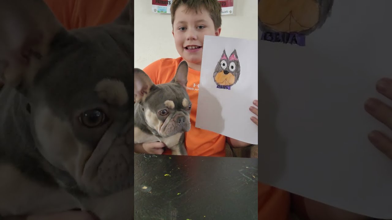 drawing my beautiful Bella Bug - YouTube