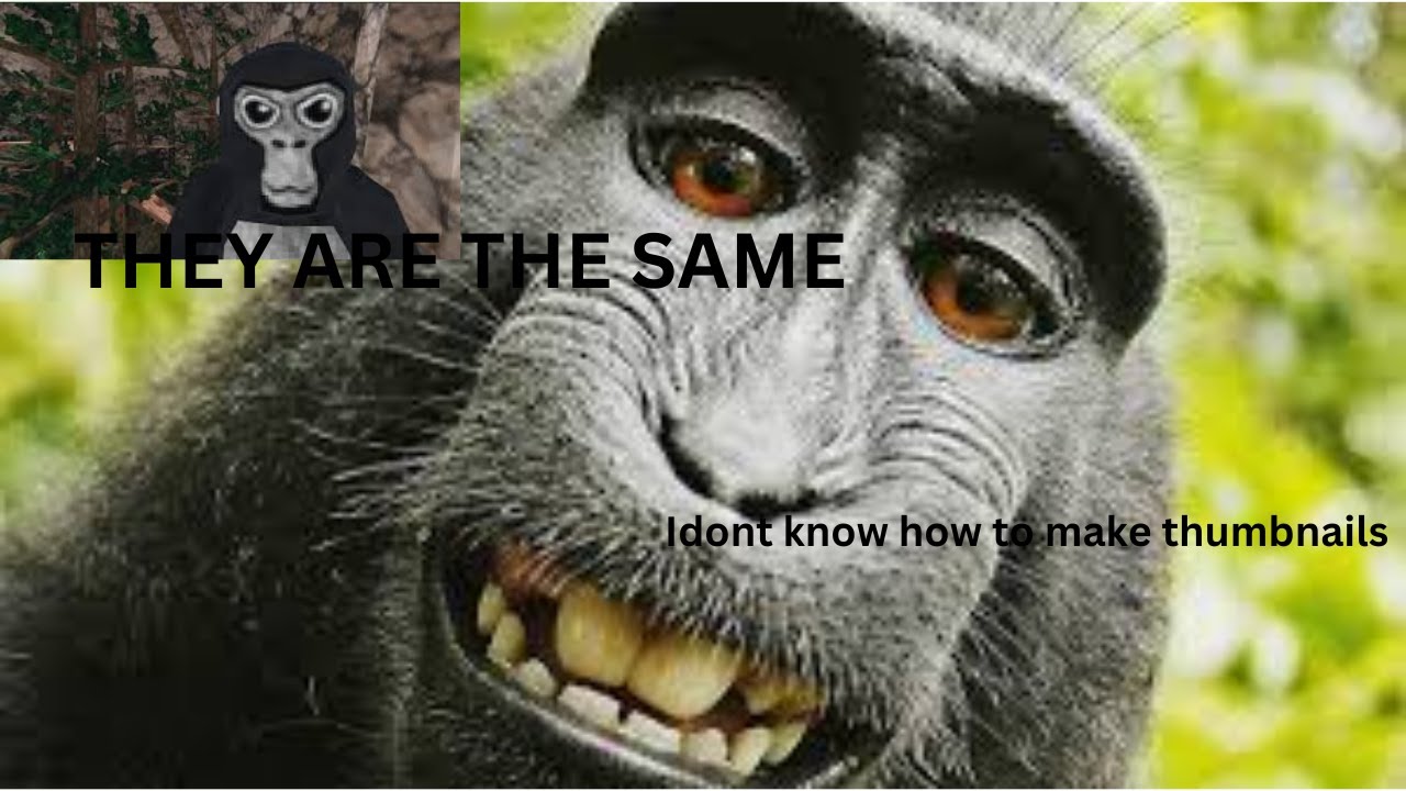 Gorilla tag, horror... what is this | SIGMA APE - YouTube