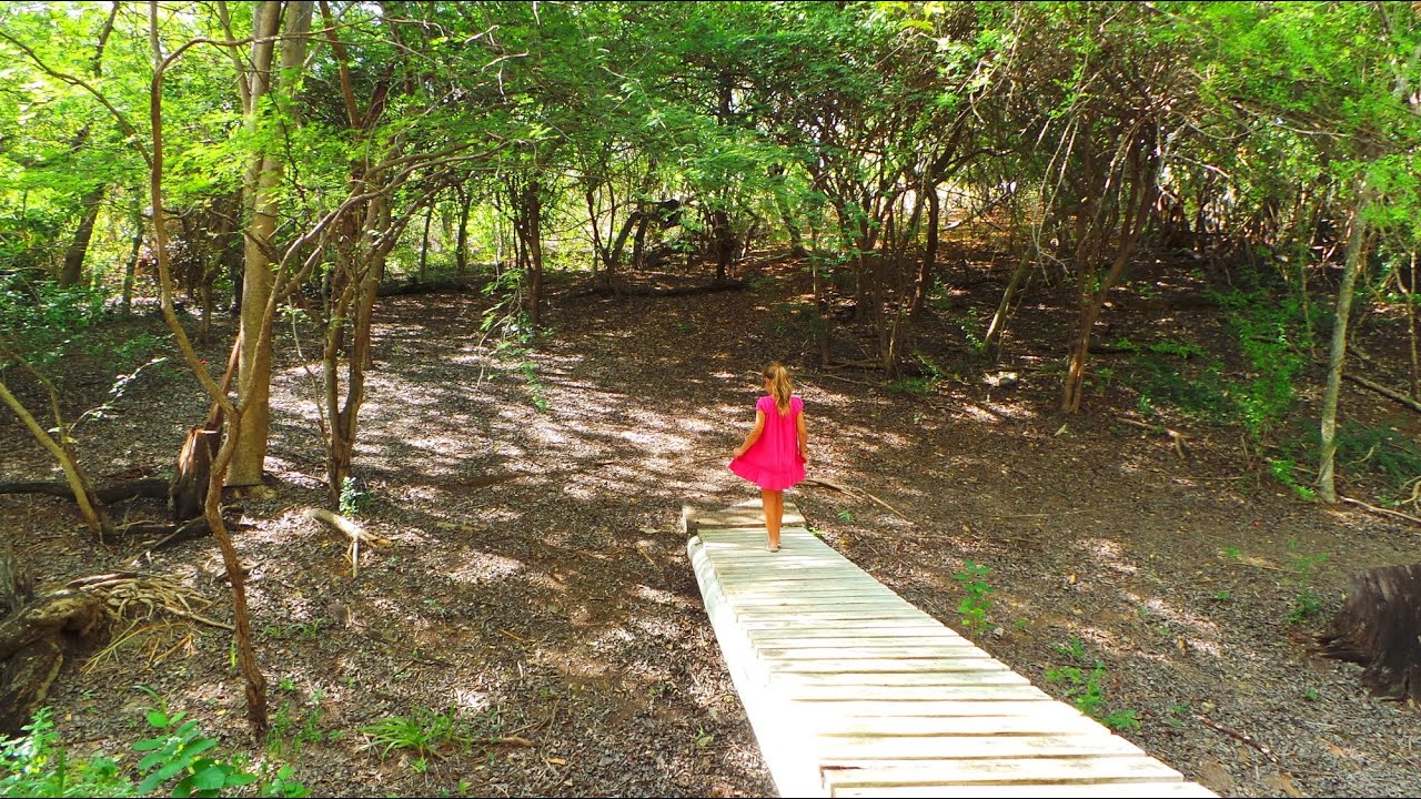 Parke den Dunki | Jan Thiel Salt Lakes | Curacao - YouTube