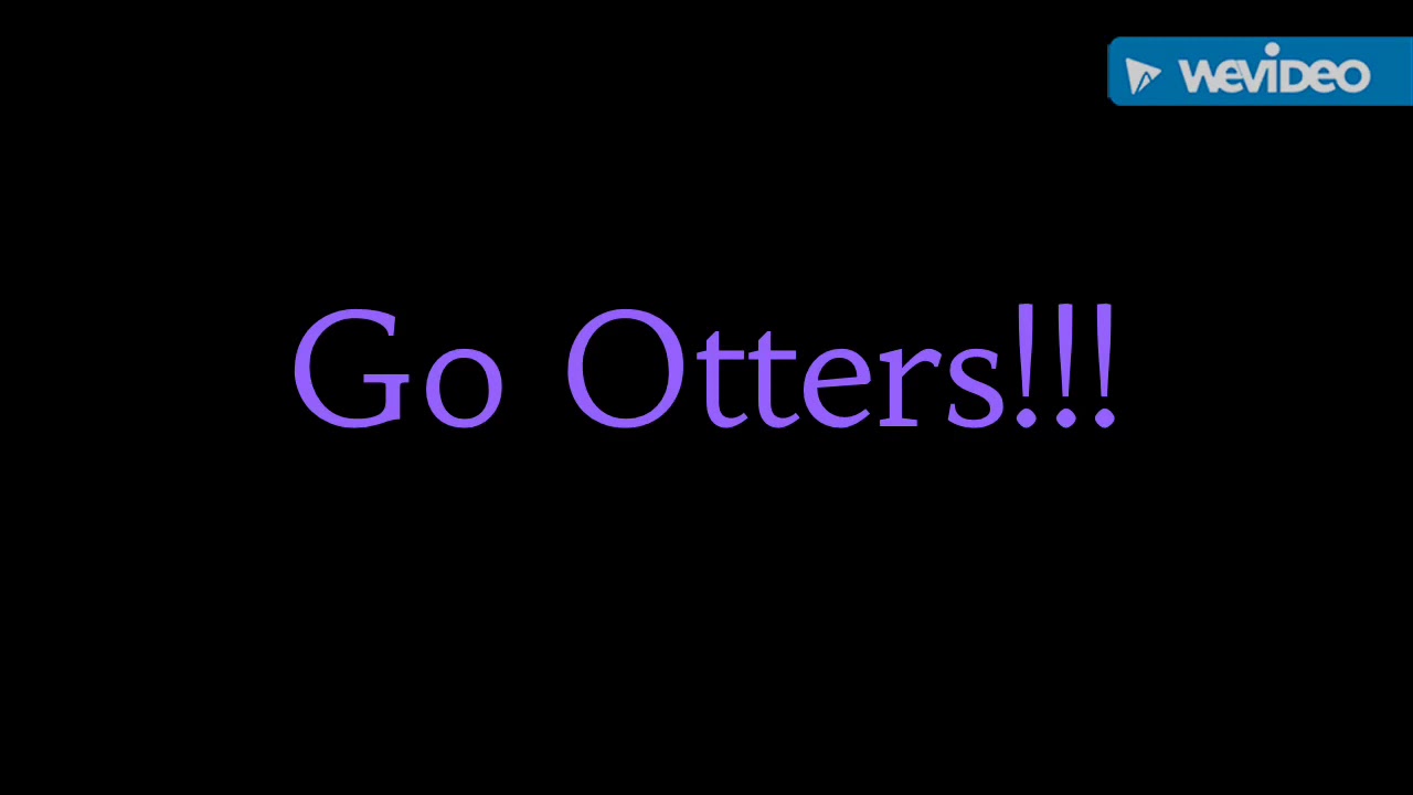 Go OTTERS 🦦 - YouTube