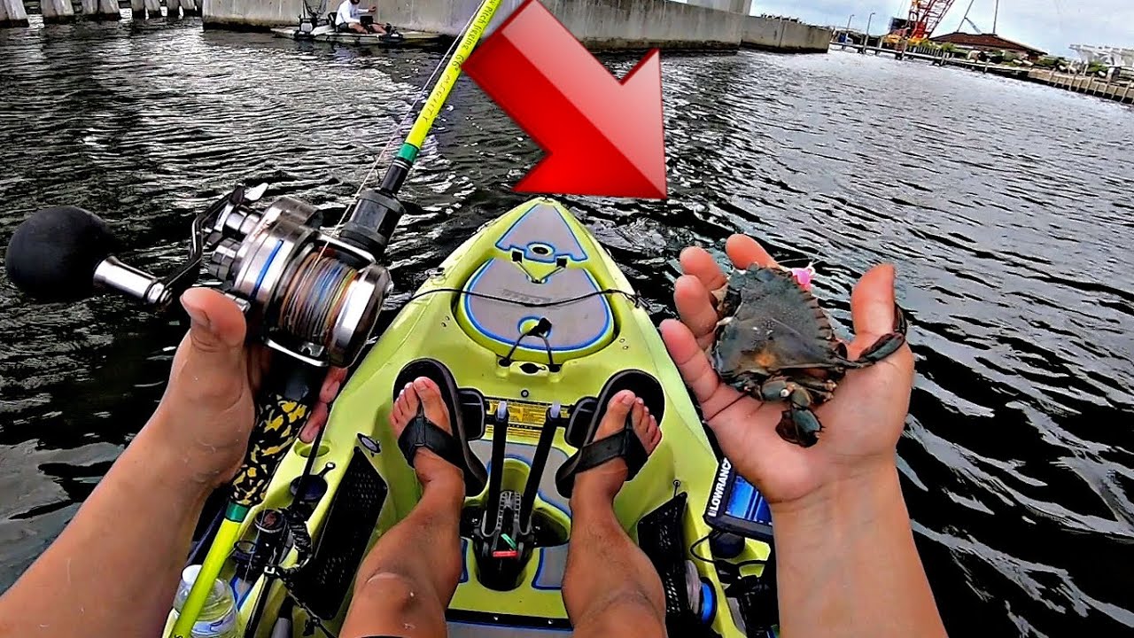 Using BIG Blue Crabs for Bridge MONSTERS - YouTube