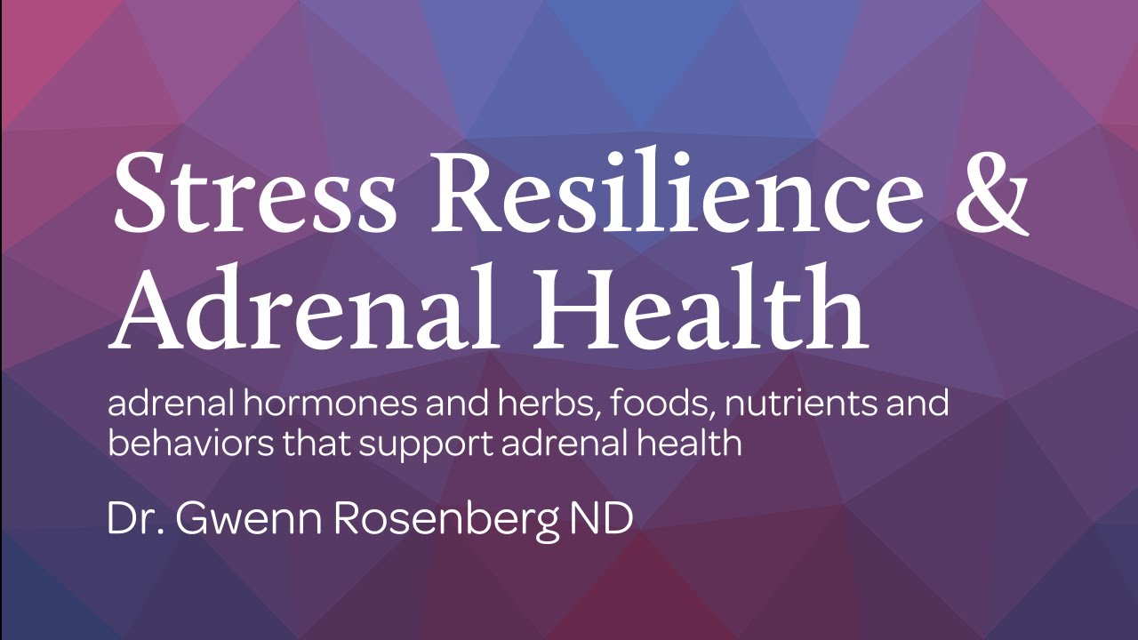 Stress Resilience and Adrenal Health with Dr. Gwenn Rosenberg - YouTube