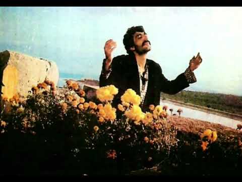 Müslüm Gürses - Acımasız Dünya