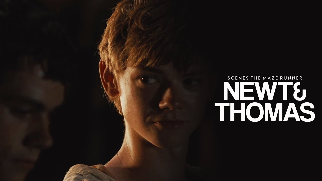 Newt & Thomas I Scenes The Maze Runner [1080p + MEGA link] - YouTube