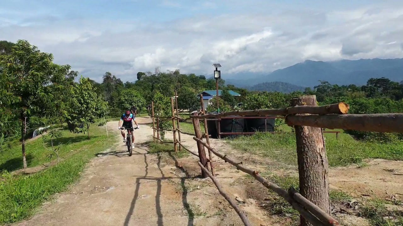 06112021 TREKKING BUKIT PAU KEMENSAH THRU KEBUN CHE MAH - YouTube