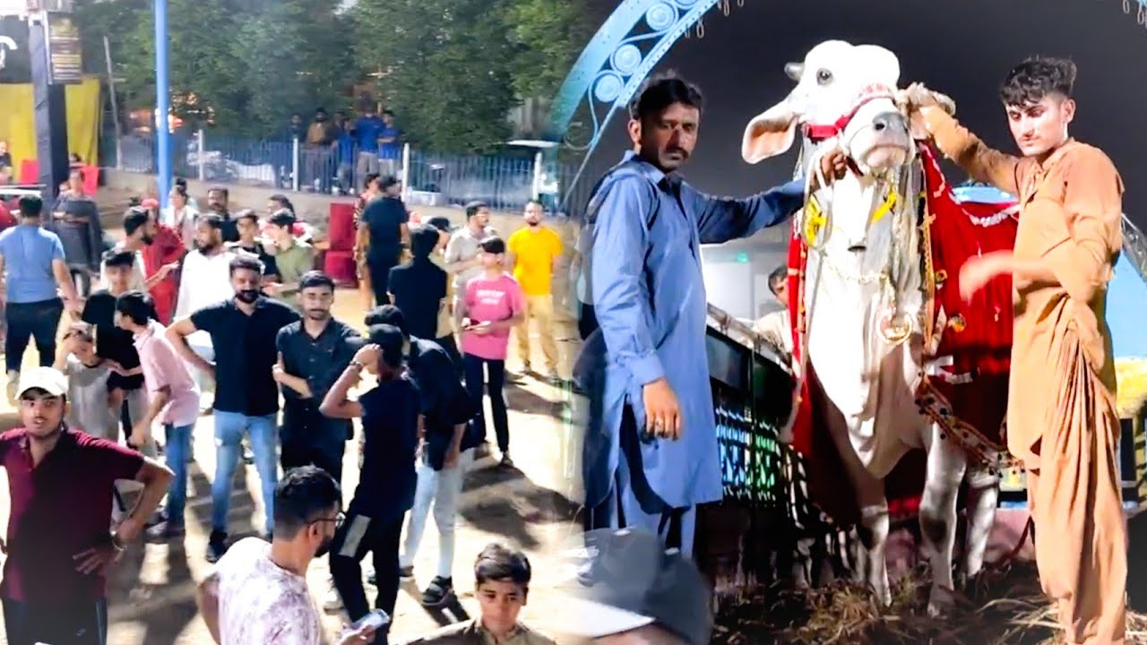 ANOTHER BIGGEST SIBBI UNLOADING 🤩K2 - THE BIGGEST SIBBIGHENA - ZAKOOTA ...