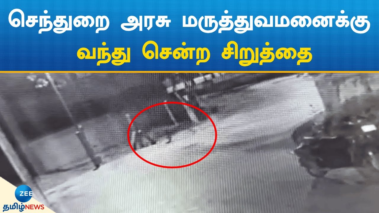 செந்துறை அரசு மருத்துவமனைக்கு வந்து சென்ற சிறுத்தை: வனத்துறை எச்சரிக்கை ...