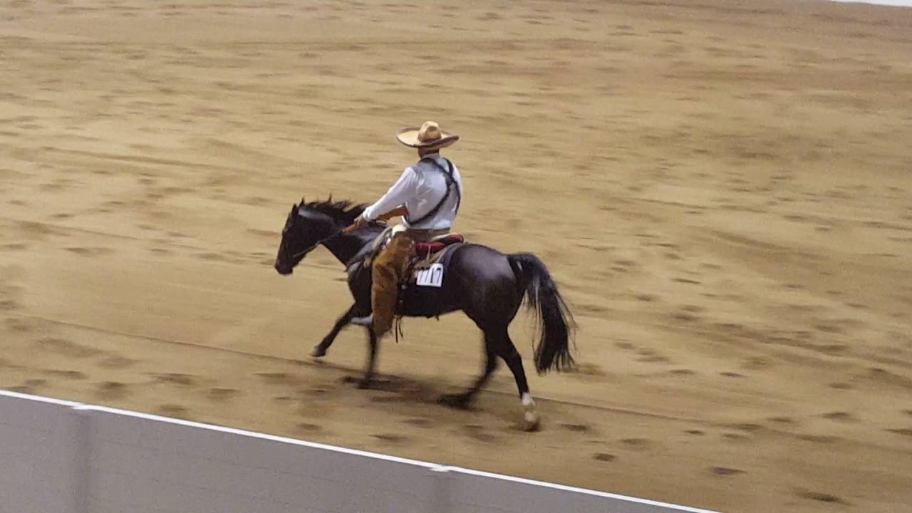 Josh Armstrong Congress 2016 Free Style Reining - YouTube