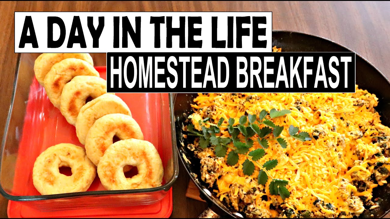 DAY IN THE LIFE - HOMESTEAD BREAKFAST - YouTube