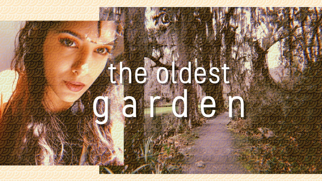 They had these animals at their HOUSE? | Magnolia Plantation - YouTube