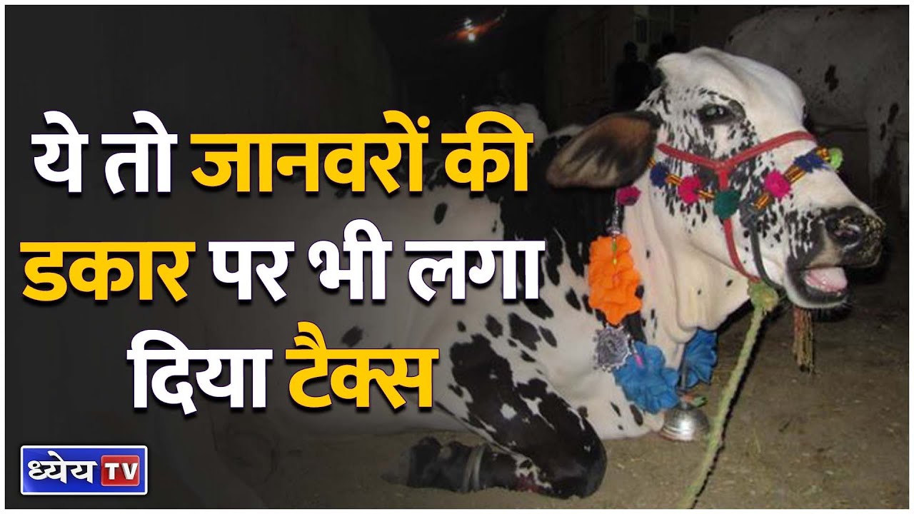 News This Hour : Why has New Zealand removed the ‘burp tax’ on ...