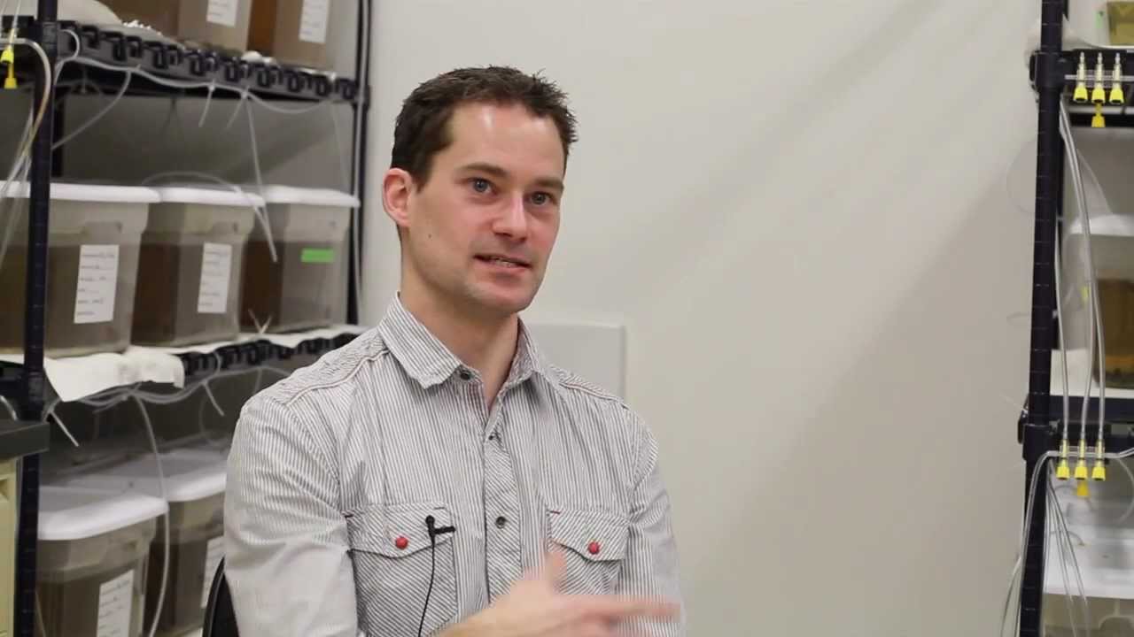 Snail research preventing illness and infection locally and globally ...