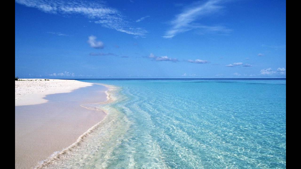 Un Mare di Poesia 2016 - i piccoli grandi poeti finalisti - YouTube