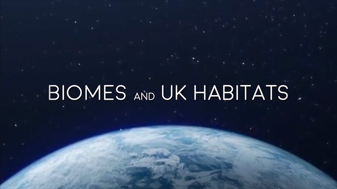Biomes and UK Habitats - YouTube