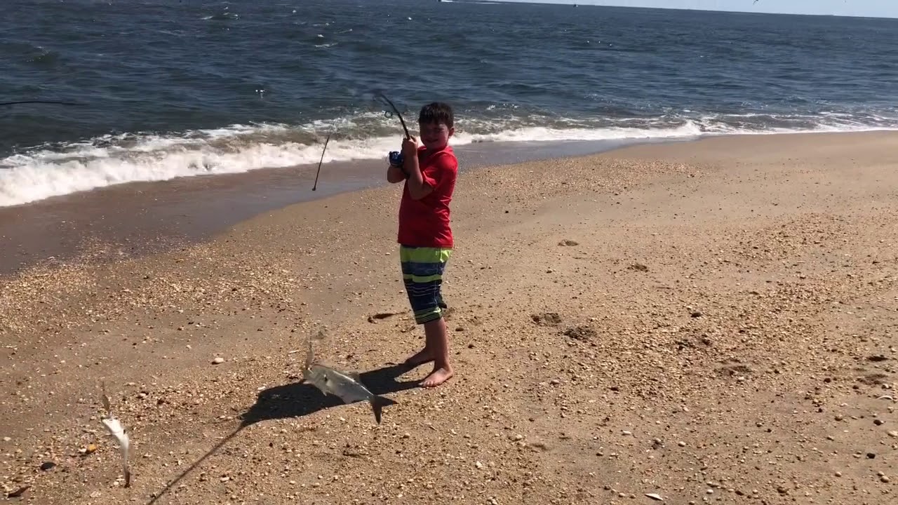 Sandy hook NJ bluefish and shad - YouTube