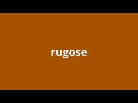 what is the meaning of rugose - YouTube
