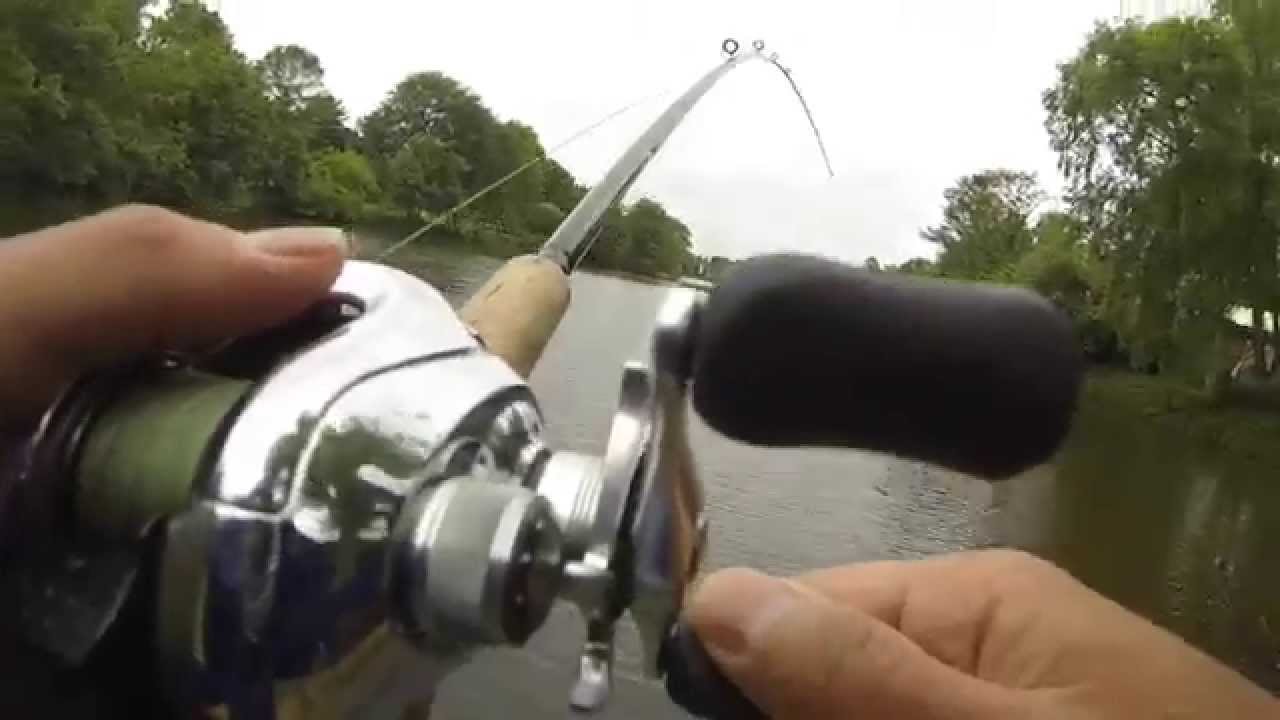 Senko/Topwater/Jig Fishing at an Interesting Lake! - YouTube