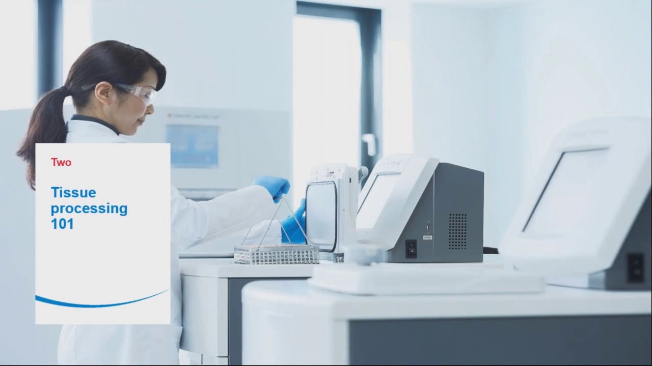 Understanding Tissue Processing Protocols - YouTube