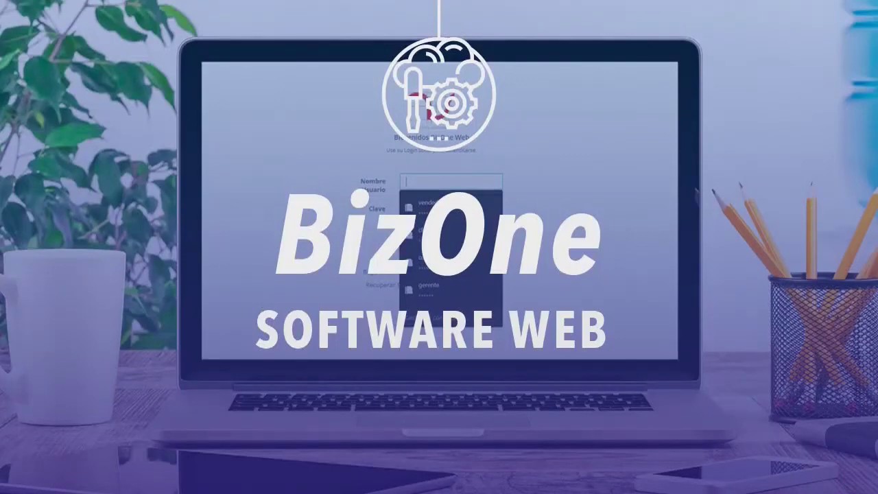 Funciones y interfaces BizOne. Solución para la gestión de pymes y ...