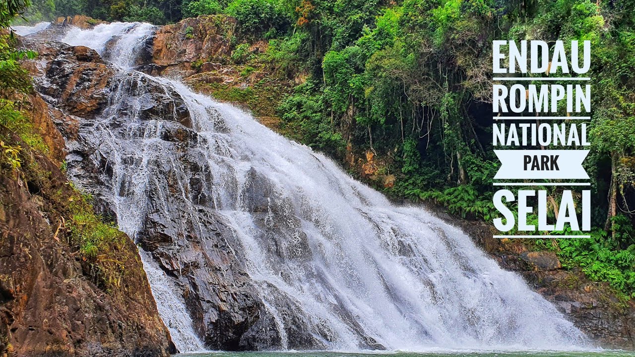 Endau Rompin Johor National Park Selai Trip Highlights | 新楼云冰国家公园 - YouTube