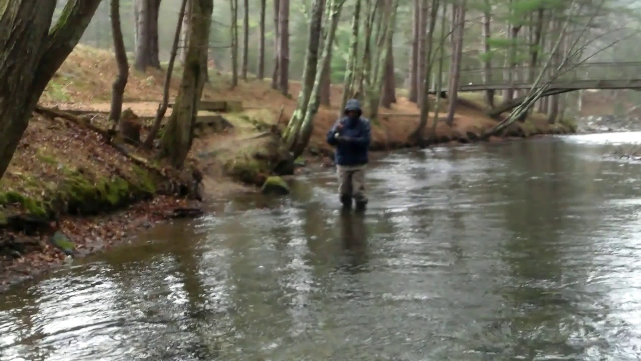 Swift River Fly Fish - YouTube
