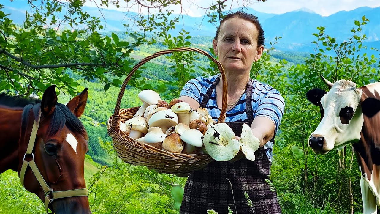 Mushroom Hunting in the Woods - YouTube