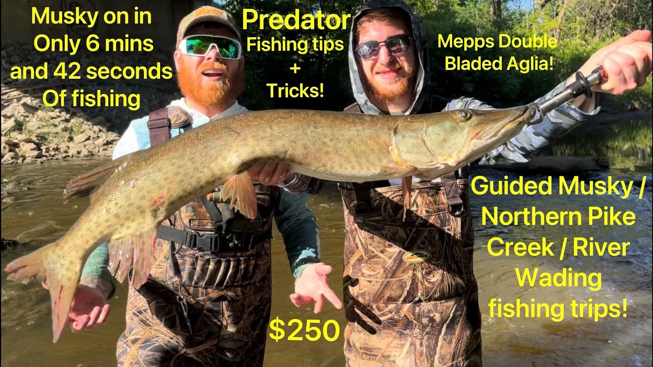 Small Creek / River Musky Fishing! Michigan Guided Fishing Trips ...