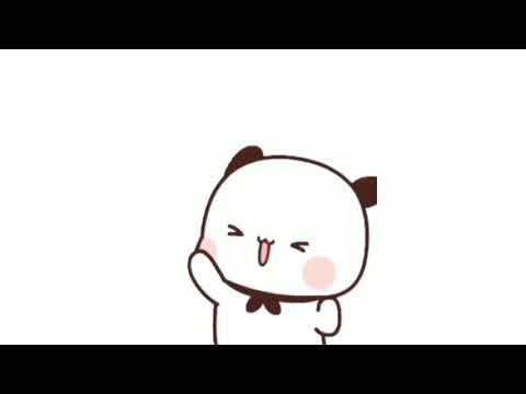 panda bear cute song status