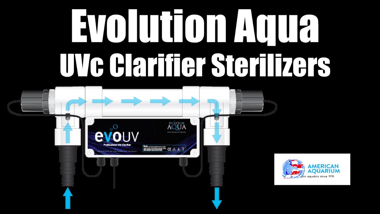 Evolution Aqua EvoUV 15/25 Watt Pond & Aquarium Clarifier Sterilizer - YouTube