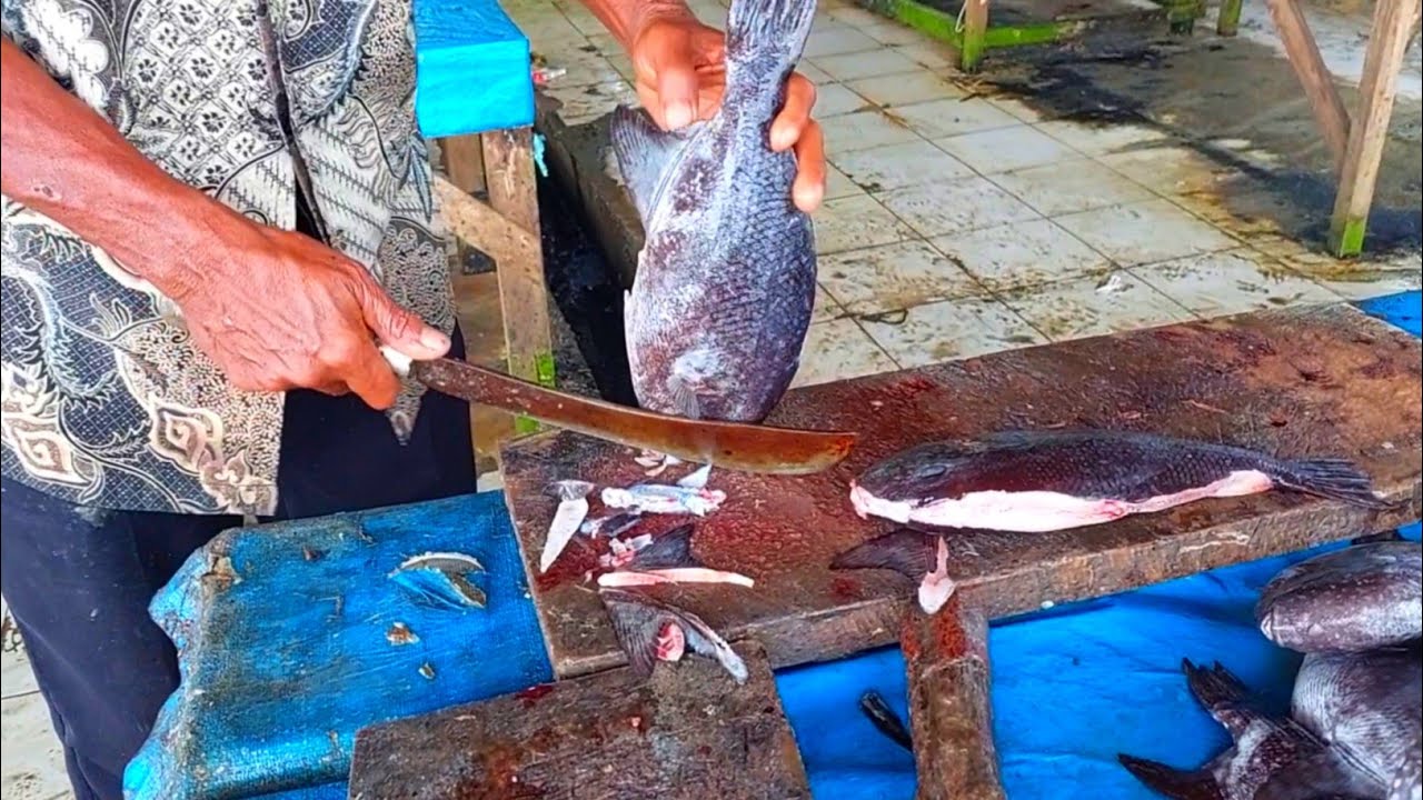 fish cutting,fish cutting video,fish cutting skills,tuna fish cutting ...