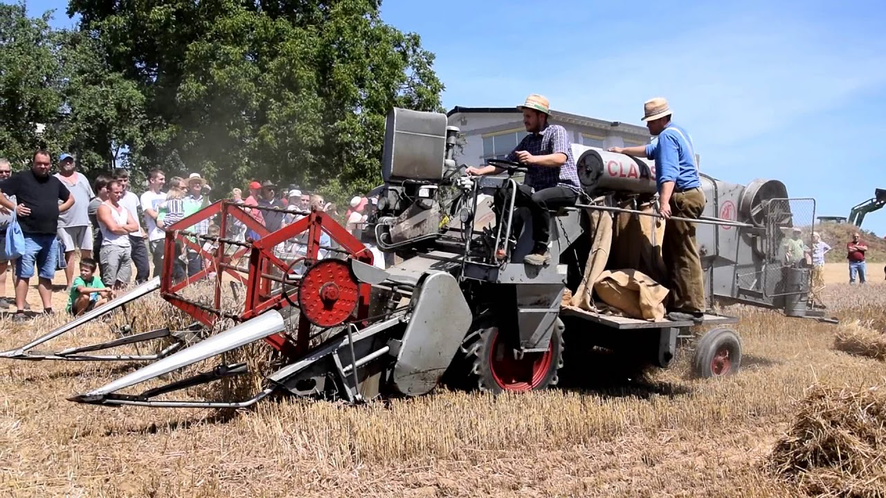 Claas Columbus bei der Arbeit 2018 // Oldtimer Mähdrescher - YouTube
