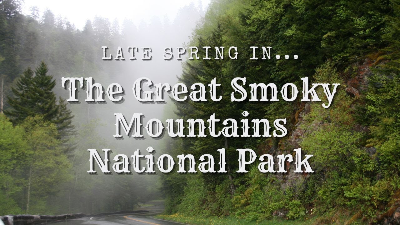 Spring in The Great Smoky Mountains National Park - YouTube