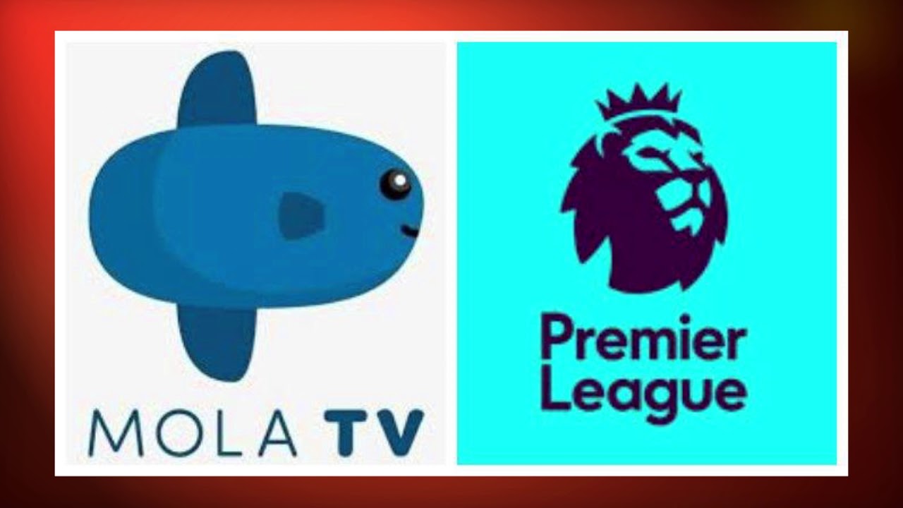 INTERNET HARGA TERJANGKAUMulai dari Rp.135.000 FAZ NET Pangkalpinang ...