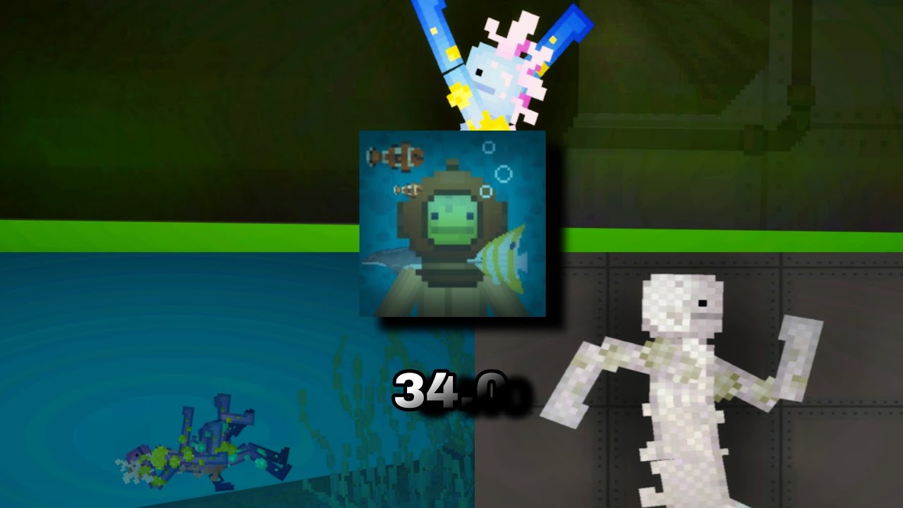 Facts About The New Coral Npc In Melon Playground Youtube